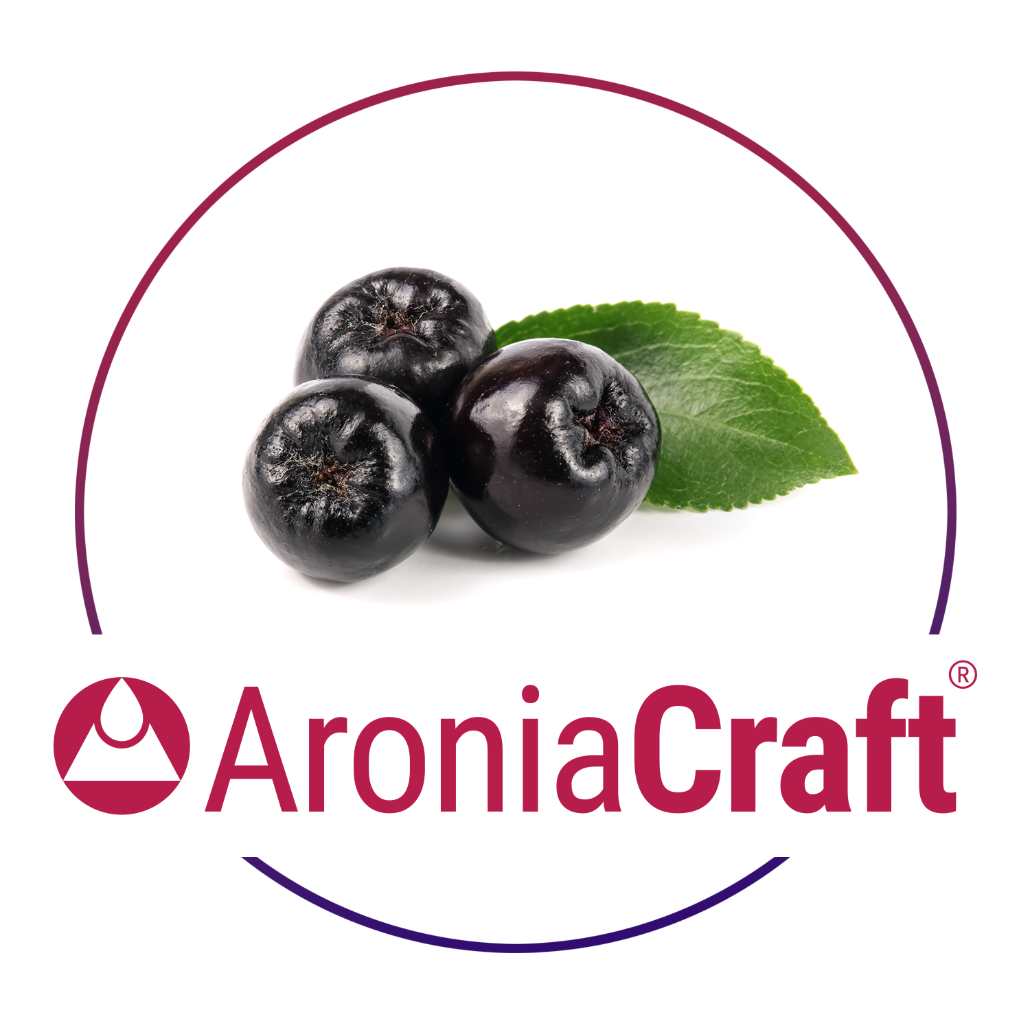 AroniaCraft® Chokeberry Extract