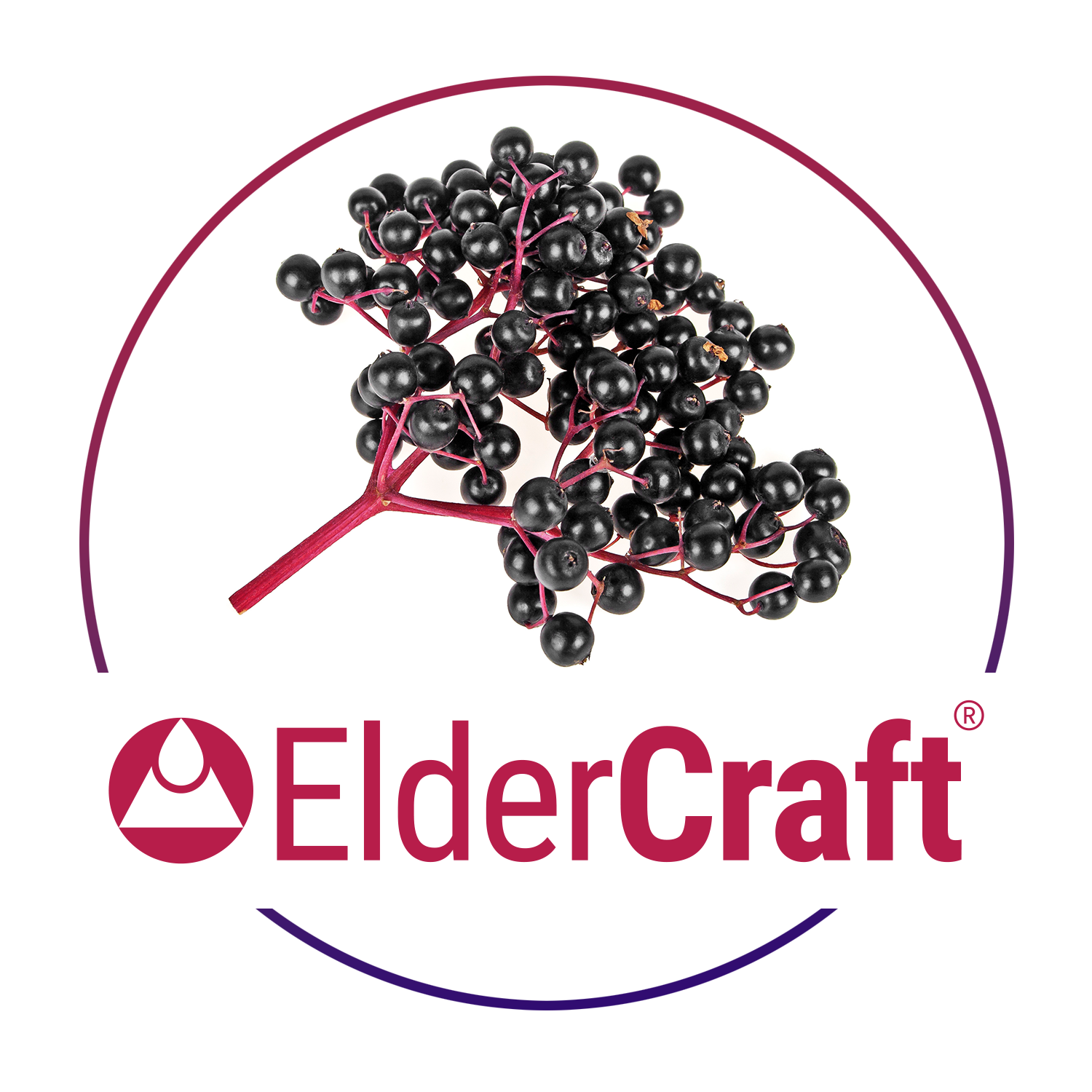 ElderCraft ® Black Elderberry Extract